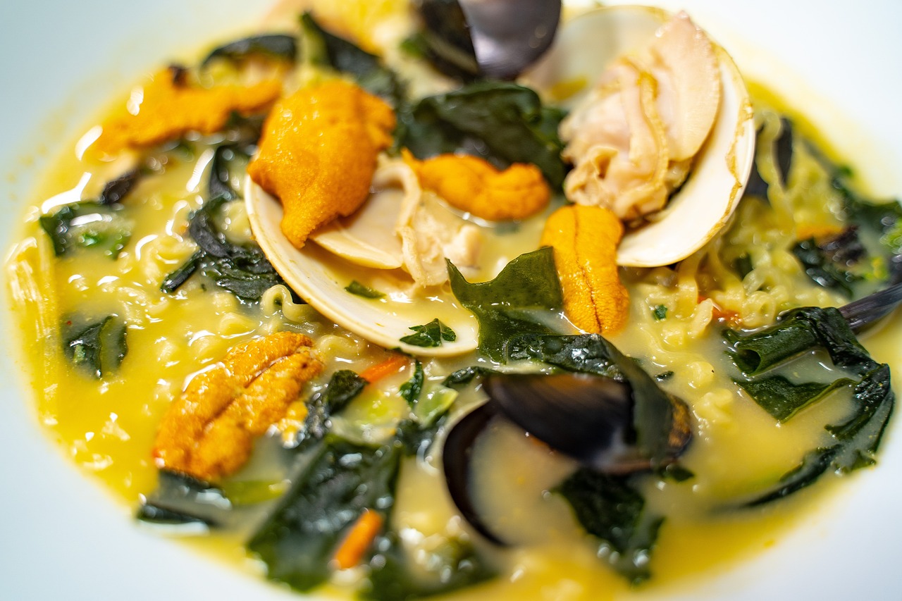 자바스크립트 if 문 활용법 알아보자 – 오늘 올라온 최신 정보