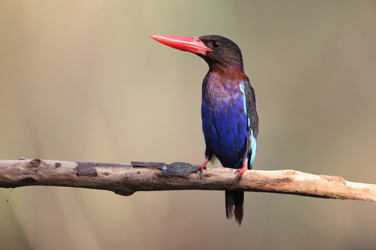 Java Exception 해결하는 4가지 방법 알아보자 – 오늘 올라온 최신 정보